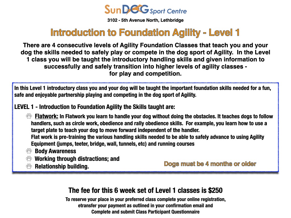 Agility Classes - Sundog Agility